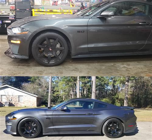 BMR Mustang Performance Lowering Springs (15-20) 5.0 SP080