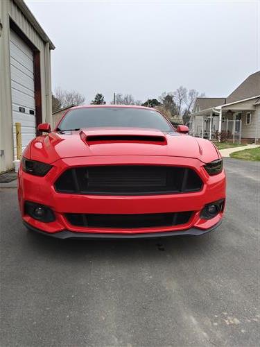 Cervini Mustang C-Series Grille Kit (15-17) 8071 - LMR