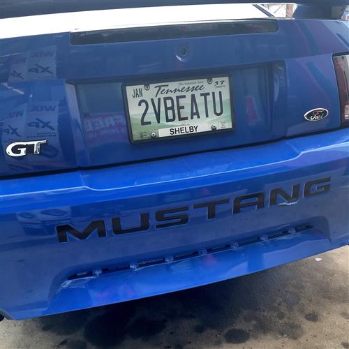 Mustang Rear Bumper Insert Decals Black (99-04) - LMR