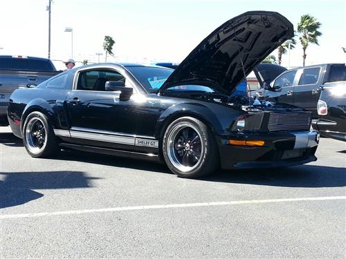 Mustang Rocker Panel Replacement Hardware Kit (05-14)