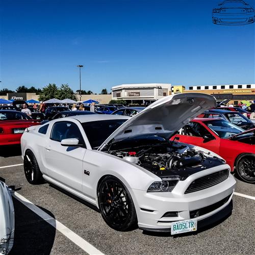 Sto N Sho Mustang License Plate Bracket (13-14) GT/V6 SNS8