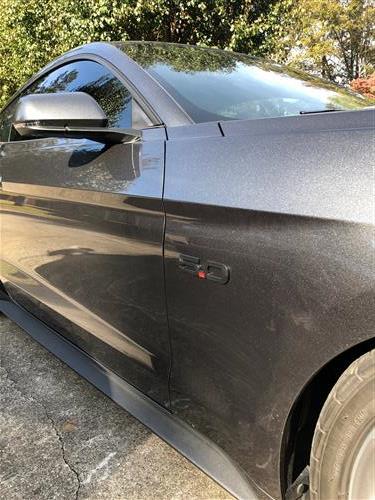 SVE S550 Mustang Black 5.0 Emblem Kit - LMR.com