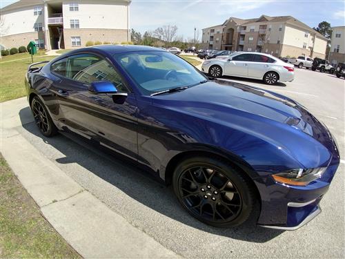Mustang SVO Emblem Black (79-20) - LMR.com