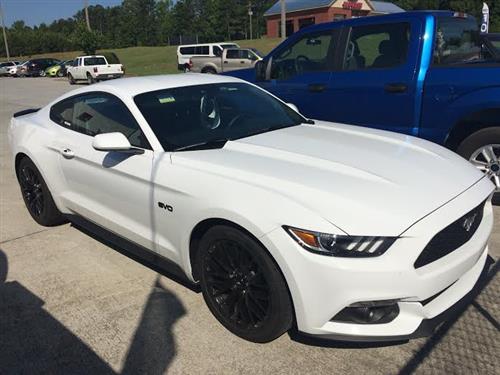 Mustang SVO Emblem Black (79-20) - LMR.com