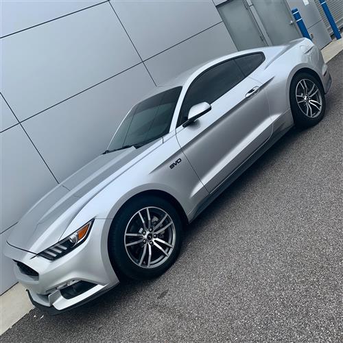 Mustang SVO Emblem Black (79-20) - LMR.com