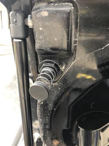 Mustang Trunk Springs with Rubber Bumpers (99-04) - LMR