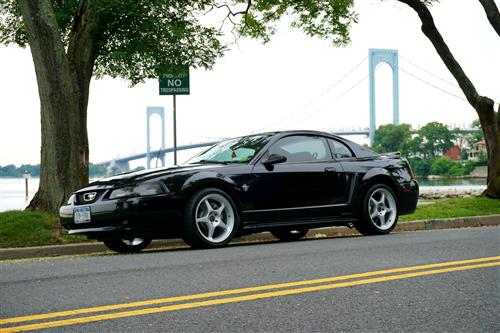 SVE Mustang 2000 Cobra R Style Wheel - 18x9.5 Silver (94-04)