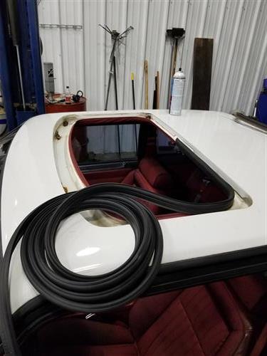 Mustang Sunroof Weatherstrip Kit (79-93) - LMR.com