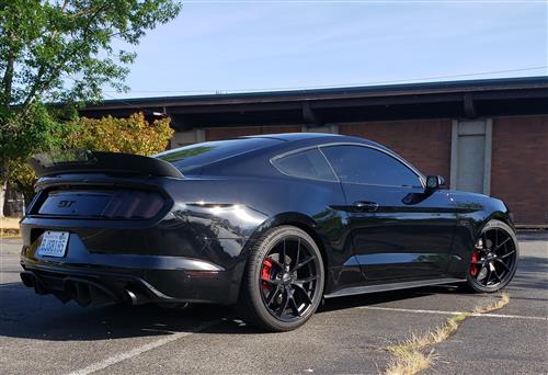 Scott Drake Wicker Bill Style - Race Spoiler | 2015-20 Mustang