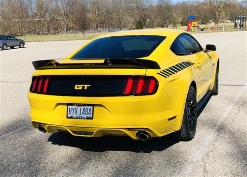 Scott Drake Wicker Bill Style - Race Spoiler | 2015-20 Mustang