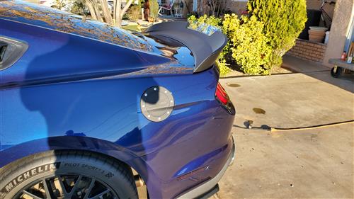 Scott Drake Wicker Bill Style - Race Spoiler | 2015-20 Mustang