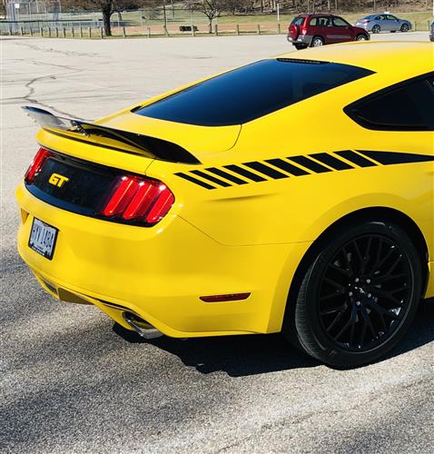 Scott Drake Wicker Bill Style - Race Spoiler | 2015-20 Mustang