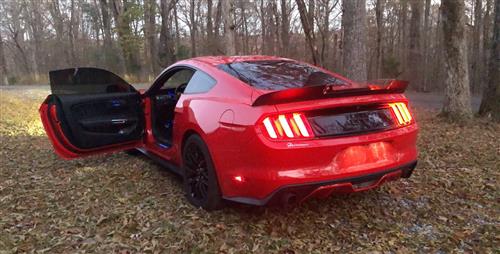 Scott Drake Wicker Bill Style - Race Spoiler | 2015-20 Mustang