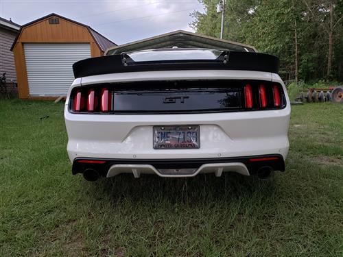 Scott Drake Wicker Bill Style - Race Spoiler | 2015-20 Mustang