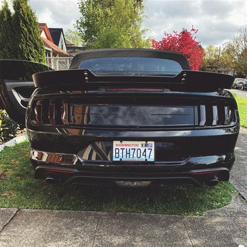 Scott Drake Wicker Bill Style - Race Spoiler | 2015-20 Mustang