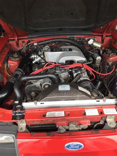 Mustang Fenderwell Cold Air Intake Kit (86-88) 5.0 - LMR