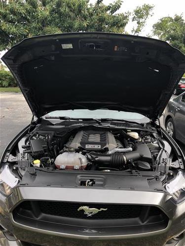 2015 2020 Mustang Ford Performance Hood Strut Kit Lmr