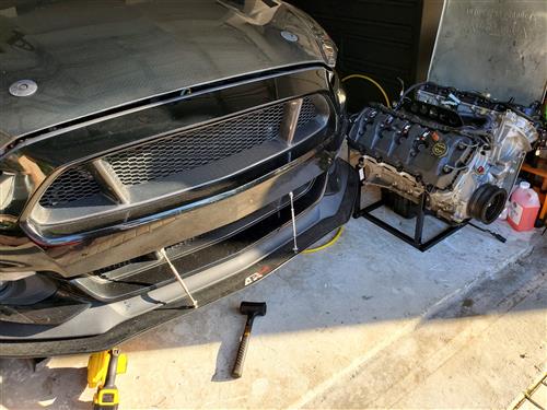 Ford Performance Coyote & Modular Engine Cradle M-6038-M