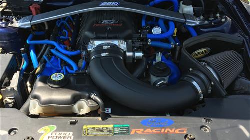 Ford Racing Mustang Intake Manifold (05-10) GT 4.6L 3V M-9424-463V