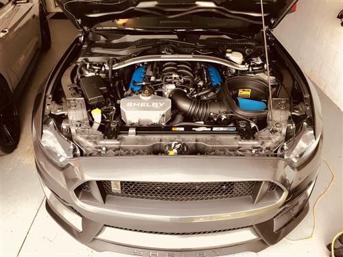 Ford Performance Mustang Performance Air Filter (10-19) Bullitt/GT350 ...