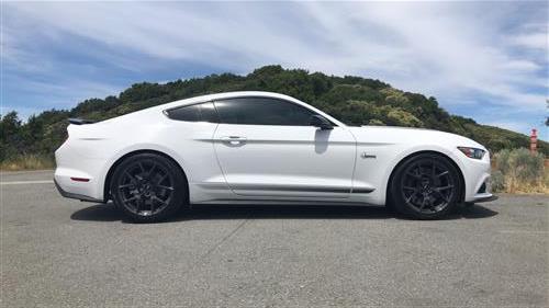 Ford Performance Mustang Track Handling Pack (15-20) M-FR3A-M8A