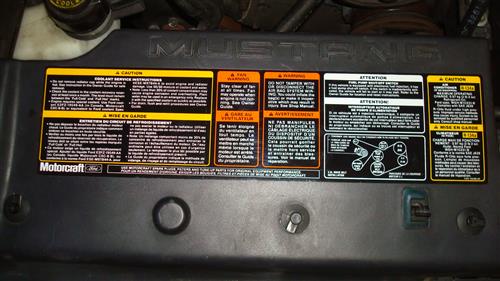 Mustang Radiator Cover Decal (94-95) 5.0 - LMR.com