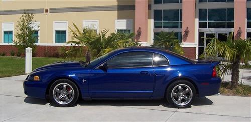 Steeda Sport Lowering Spring Kit - Fox Body/SN95 | 1979-04 Mustang