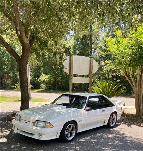 Steeda Sport Lowering Spring Kit - Fox Body/SN95 | 1979-04 Mustang