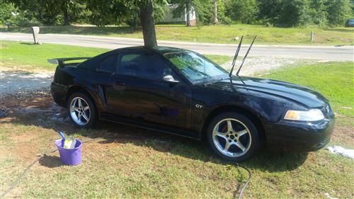 Steeda Sport Lowering Spring Kit - Fox Body/SN95 | 1979-04 Mustang