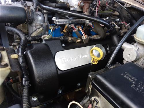 Trick Flow Mustang Aluminum Valve Covers - 13/14 Bolt Windsor Black (99 ...